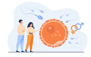 Male infertility | AFD Pharma